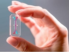 Centre for Bioengineering Meeting: QMUL School of Engineering and ...