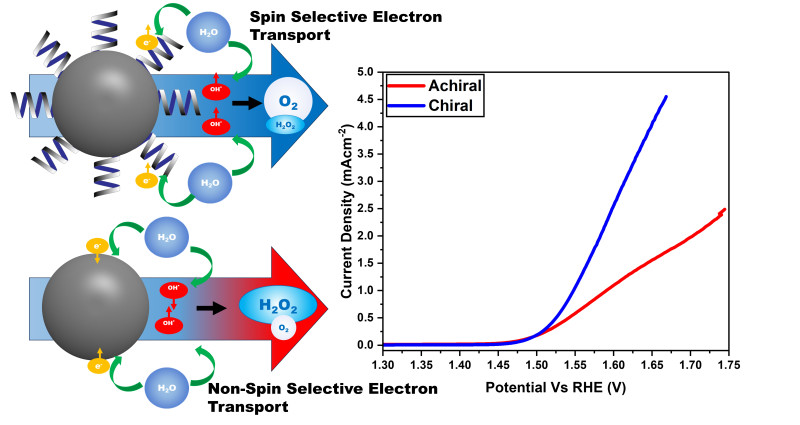 Sobrido's Group publish new paper on 'Electron Spin Selective ...