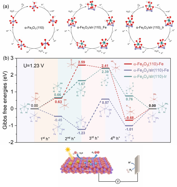Single Atom Iridium on Hematite for Solar Water Splitting: Catalyst or ...