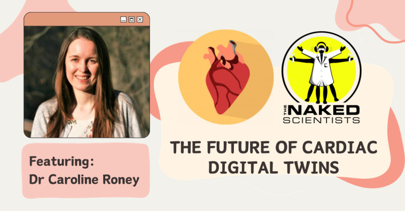 The Future of Cardiac Digital Twins: QMUL School of Engineering and ...