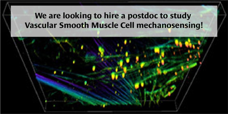 PDRA position available in the lab: QMUL School of Engineering and ...