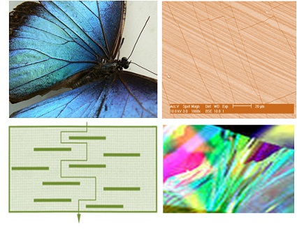 Research: QMUL School of Engineering and Materials Science