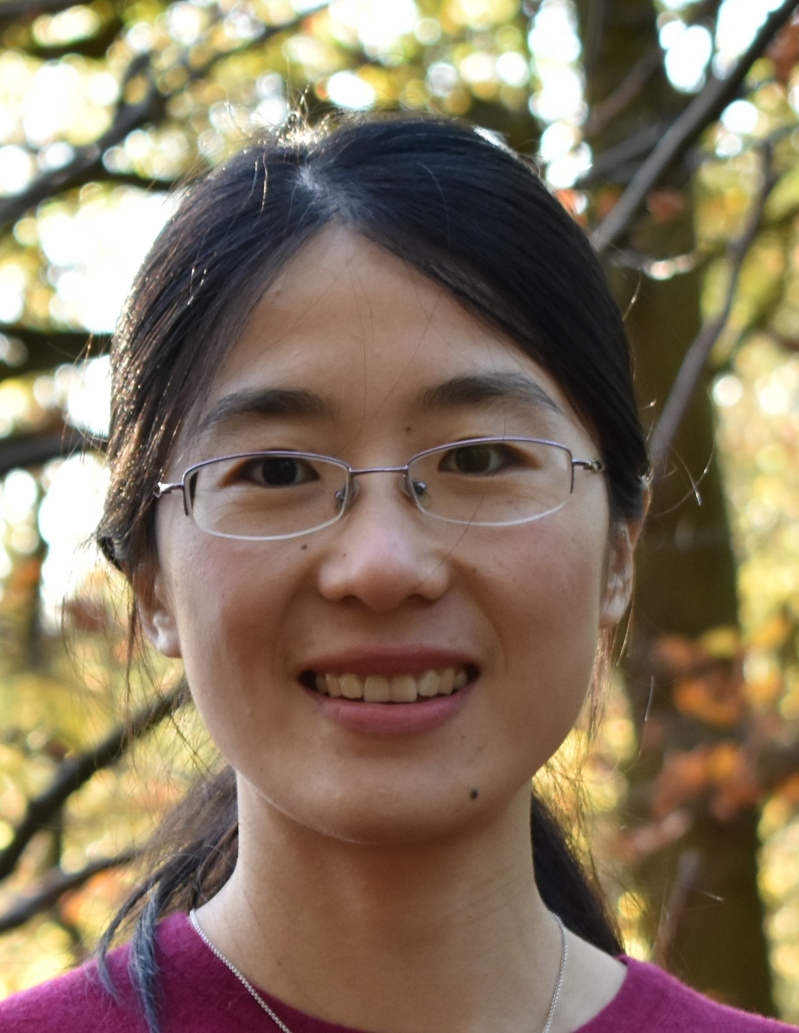 Dr Jing Shi: QMUL School of Engineering and Materials Science