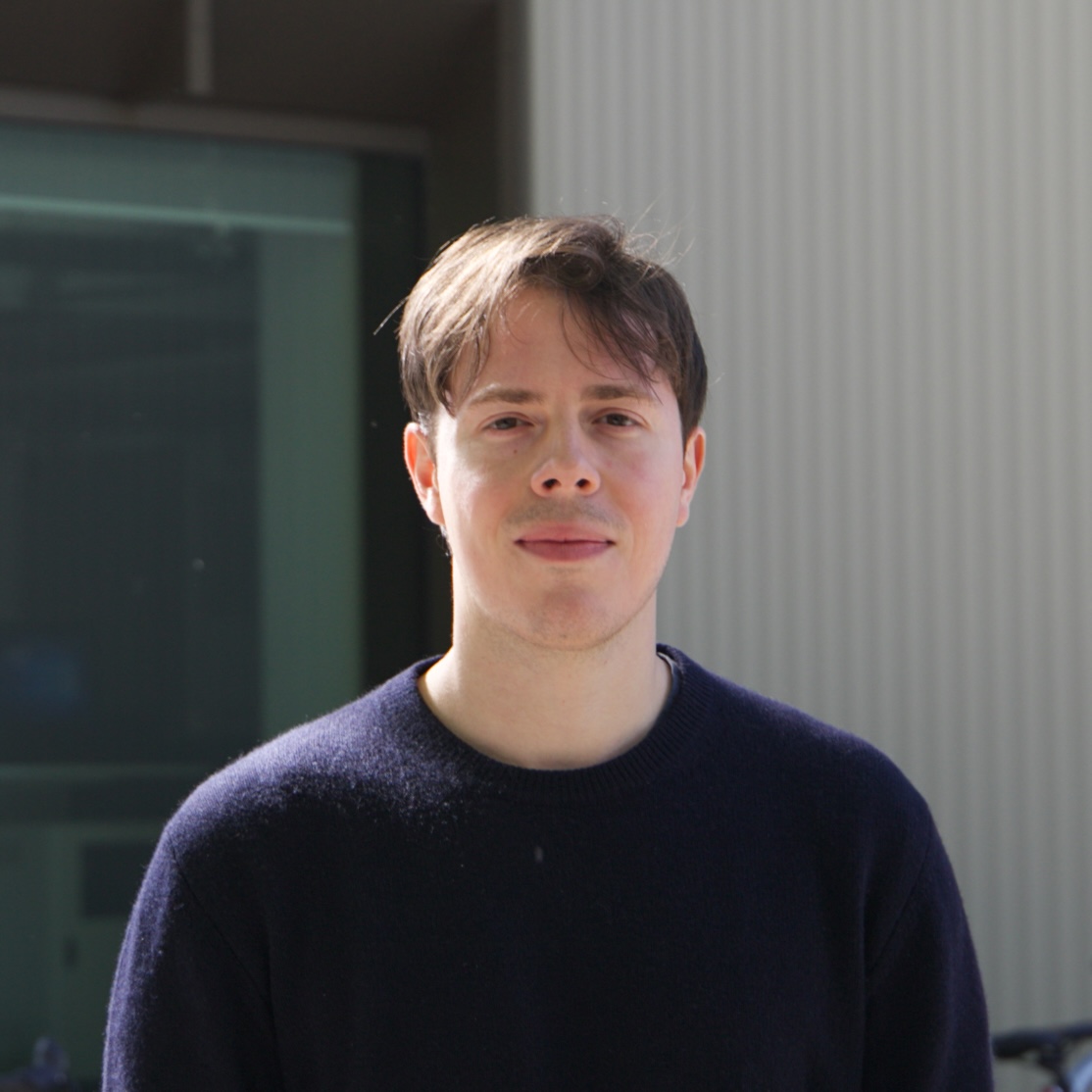 Dr Neri Niccolo Dei: QMUL School of Engineering and Materials Science
